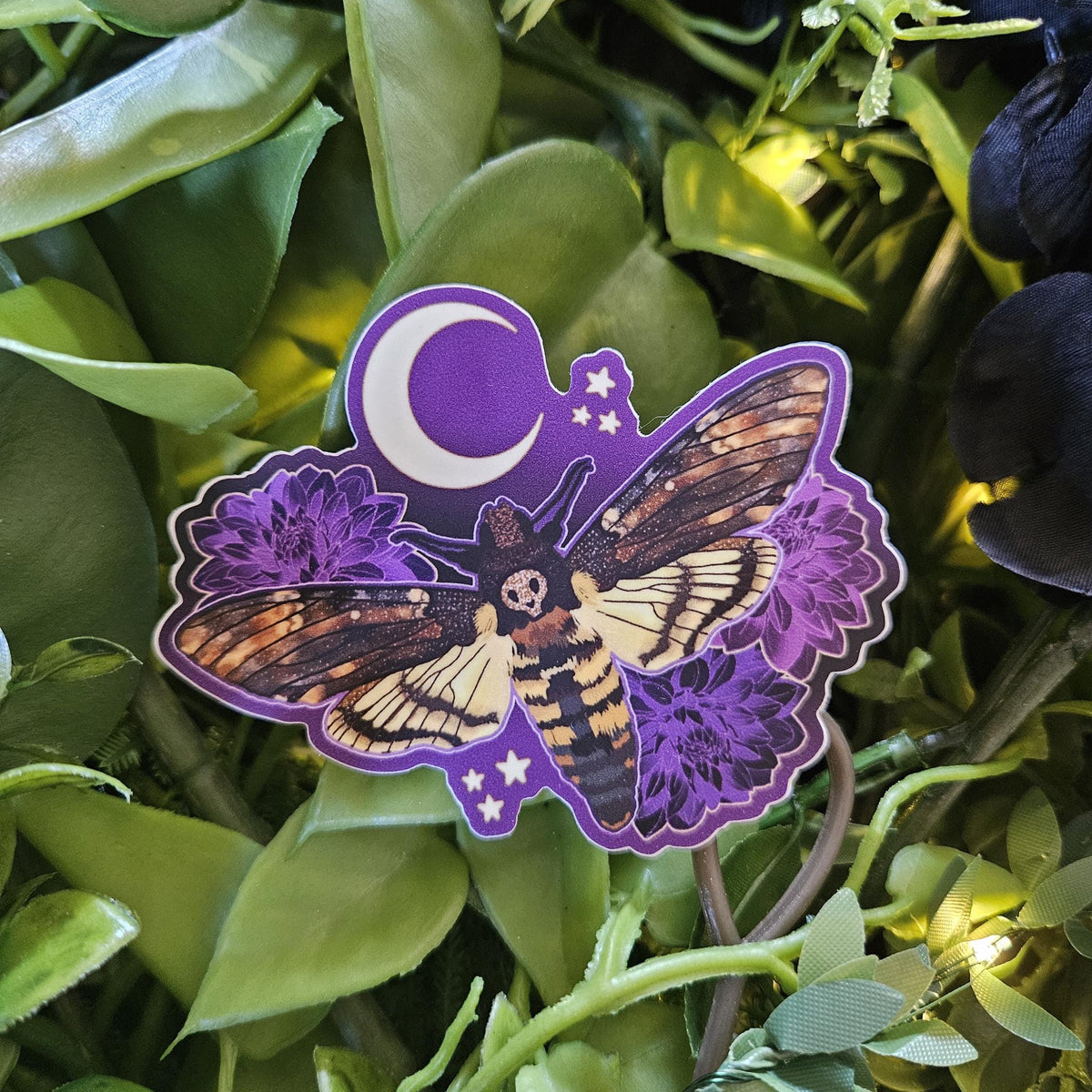MATTE STICKER: Hawk Moth with Dahlias – Acornandcrowstudio